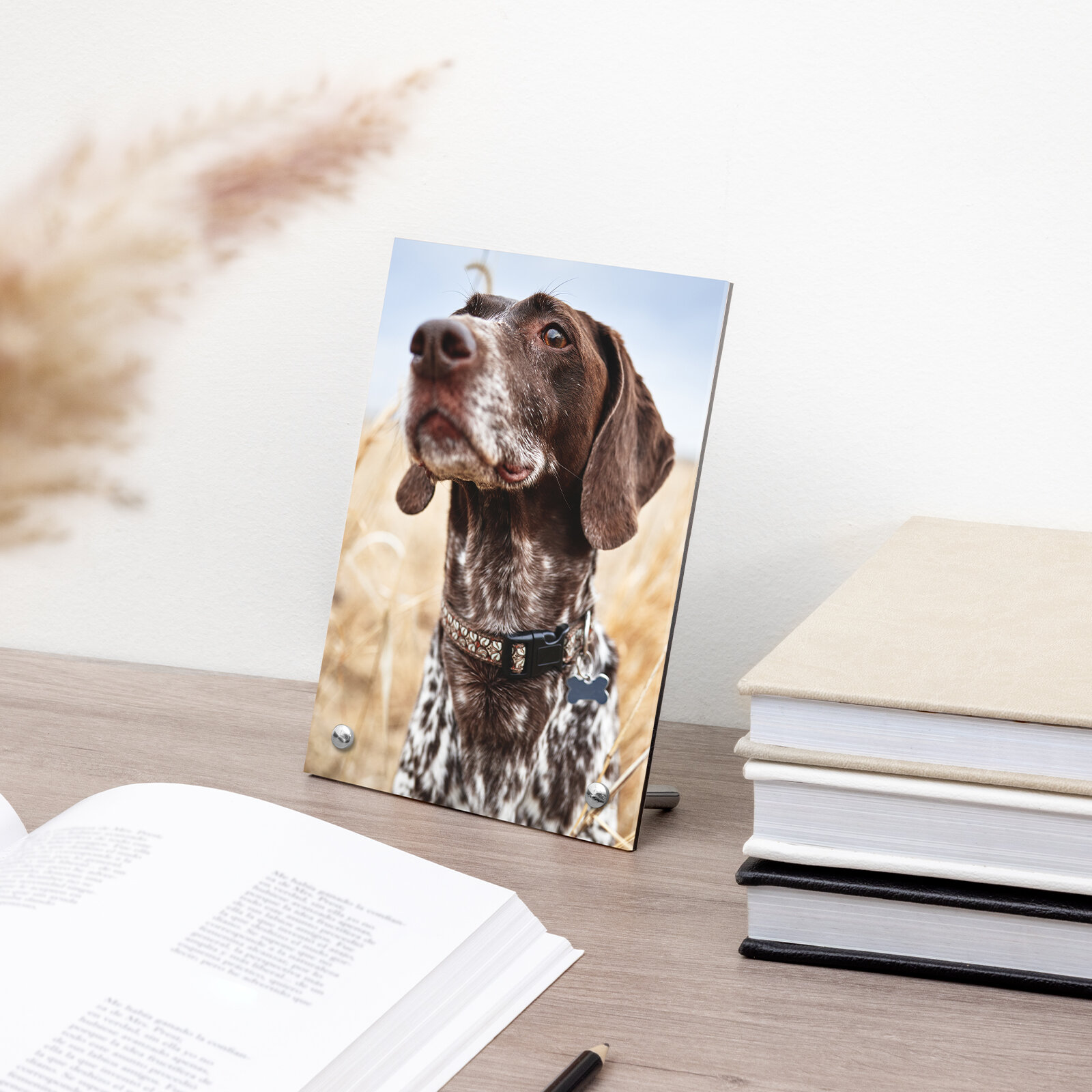 Unique Custom Frameless Photo Stand | Saal Digital